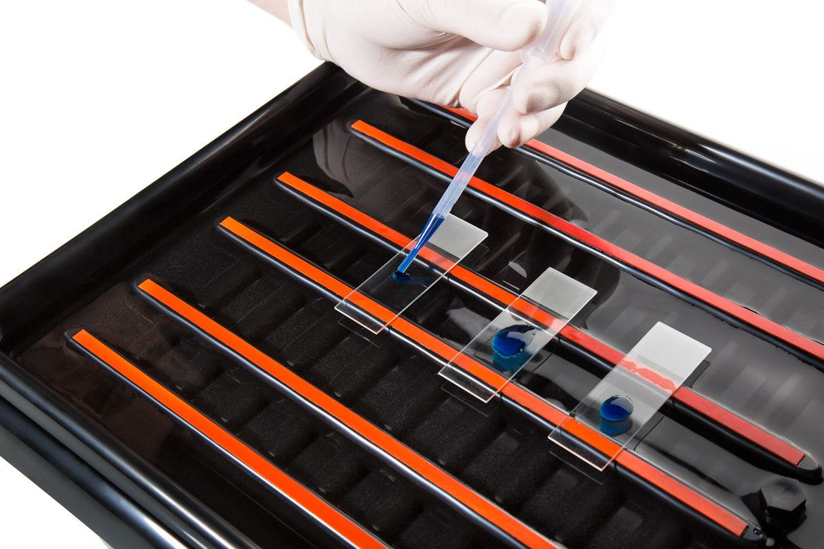 M922-x STAINING TRAY 30 SLIDES
